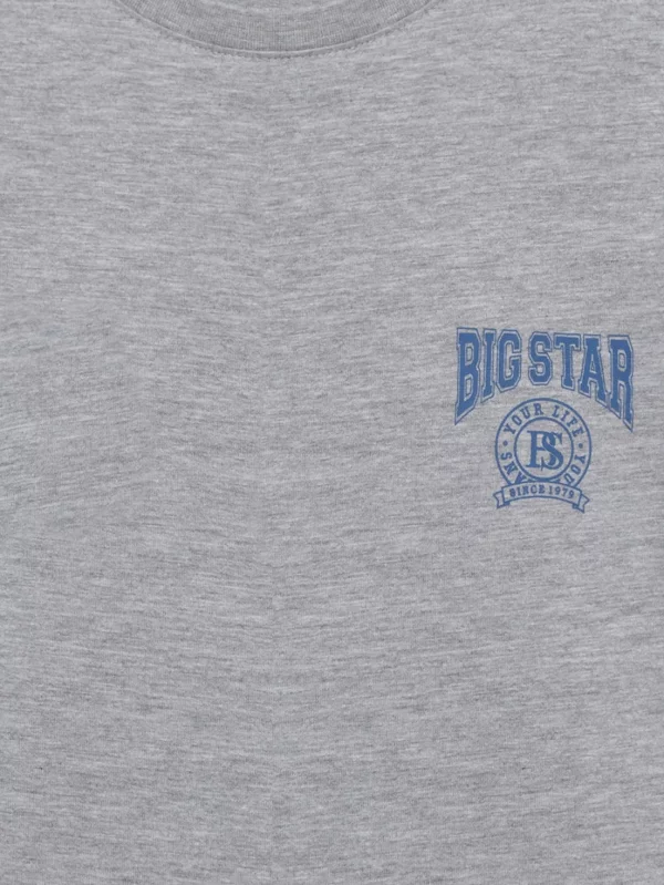 Koszulka chłopięca z nadrukiem szara Rafer 902